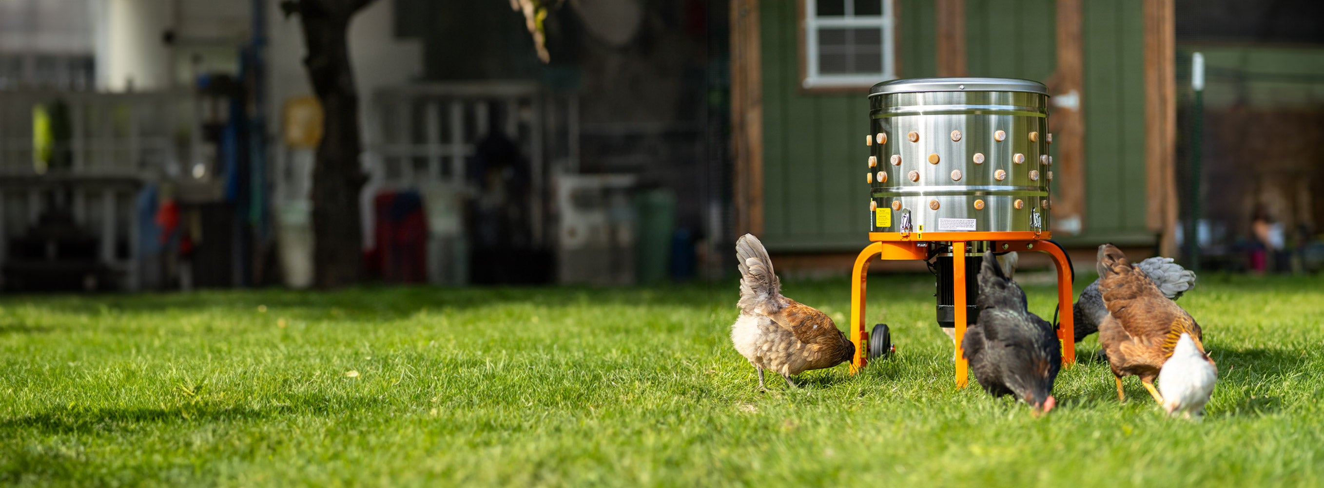 Poultry - SuperHandy - Outdoor Tools & Mobility