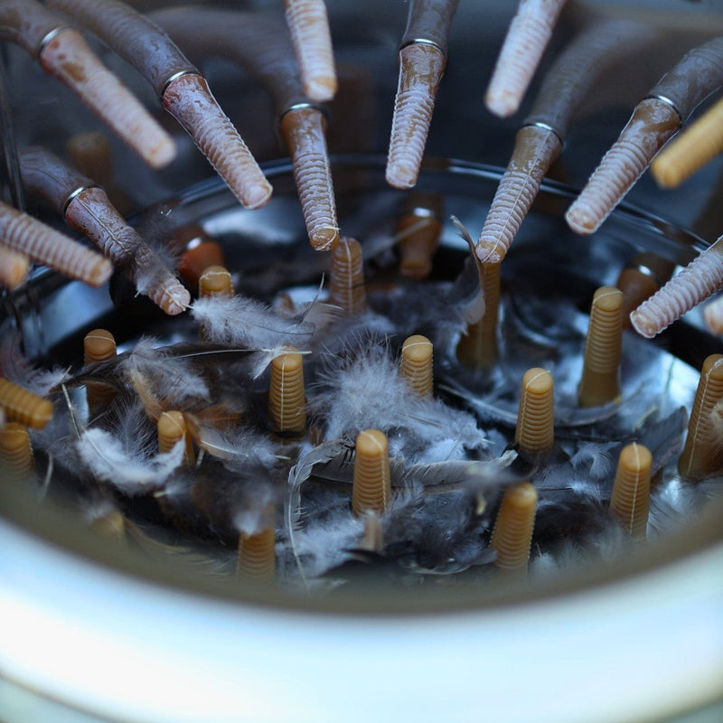 Chicken Plucker & Poultry Defeather Machine - 120V Corded | SuperHandy ...